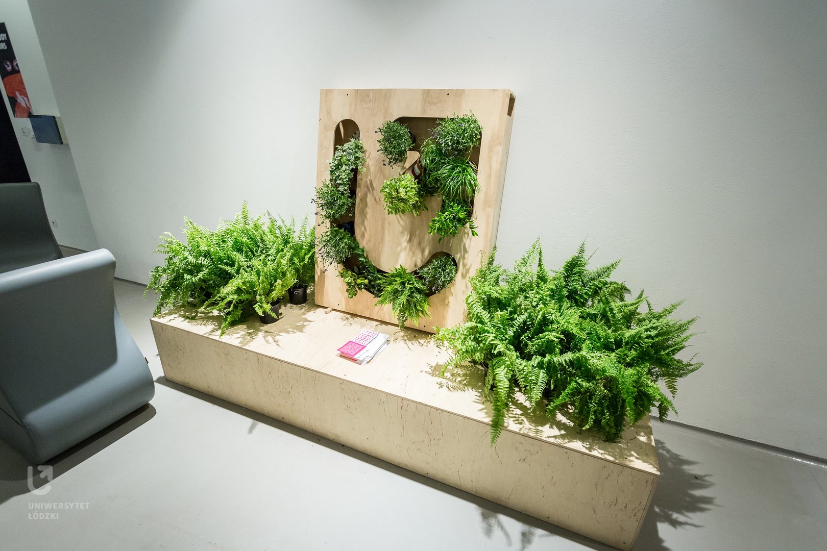 19.01.2026 (Monday) - information meeting for first-year students of ...