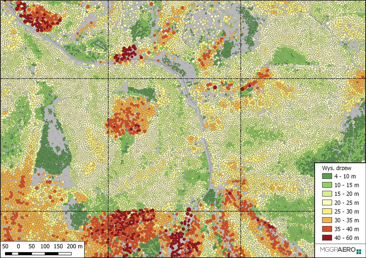 Mapa Koron Drzew dla Polski