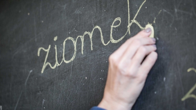 UŁ komentuje: Zapomniane słowa - ziomek, ziom, ziomal